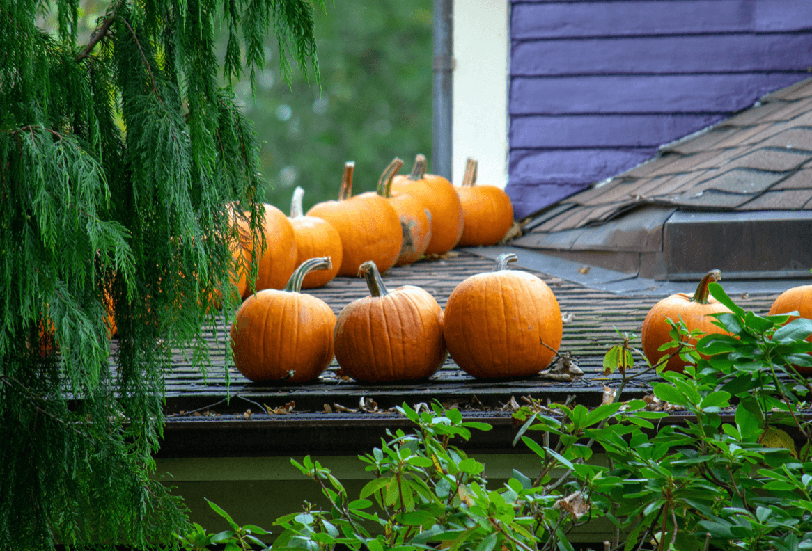 How To Safely Decorate Your Roof For Halloween Southline Roofing How To Safely Decorate Your Roof For Halloween Southline Roofing